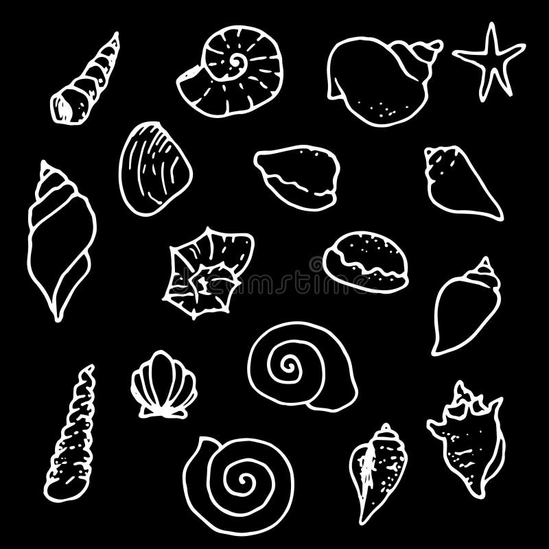 Vector Set Shells, Zentangle Seashells for Adult Anti Stress Col Stock ...