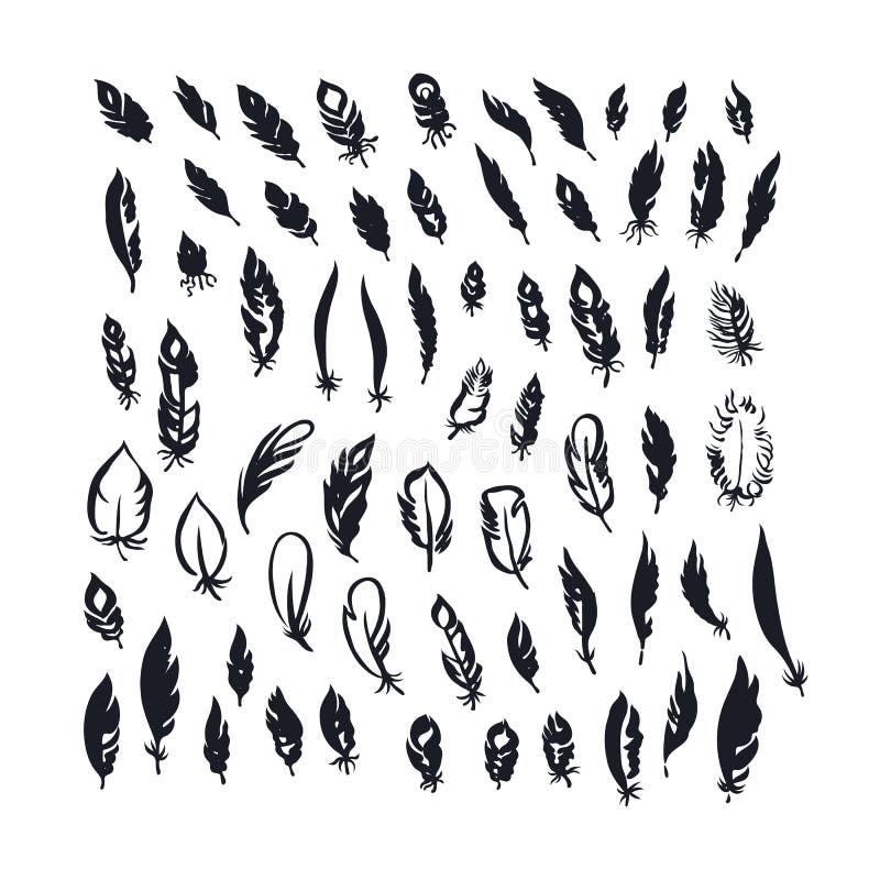 Doodle Ink Decorative Feathers. Hand Drawn Traced Design Set Stock ...
