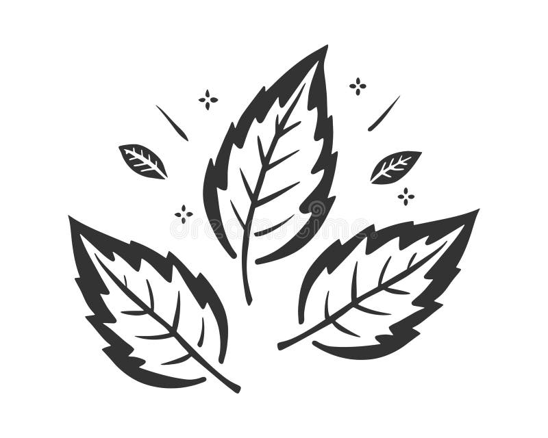 Doodle Leaves, Stylized Drawing Leaves Set Contour, Isolated on White ...