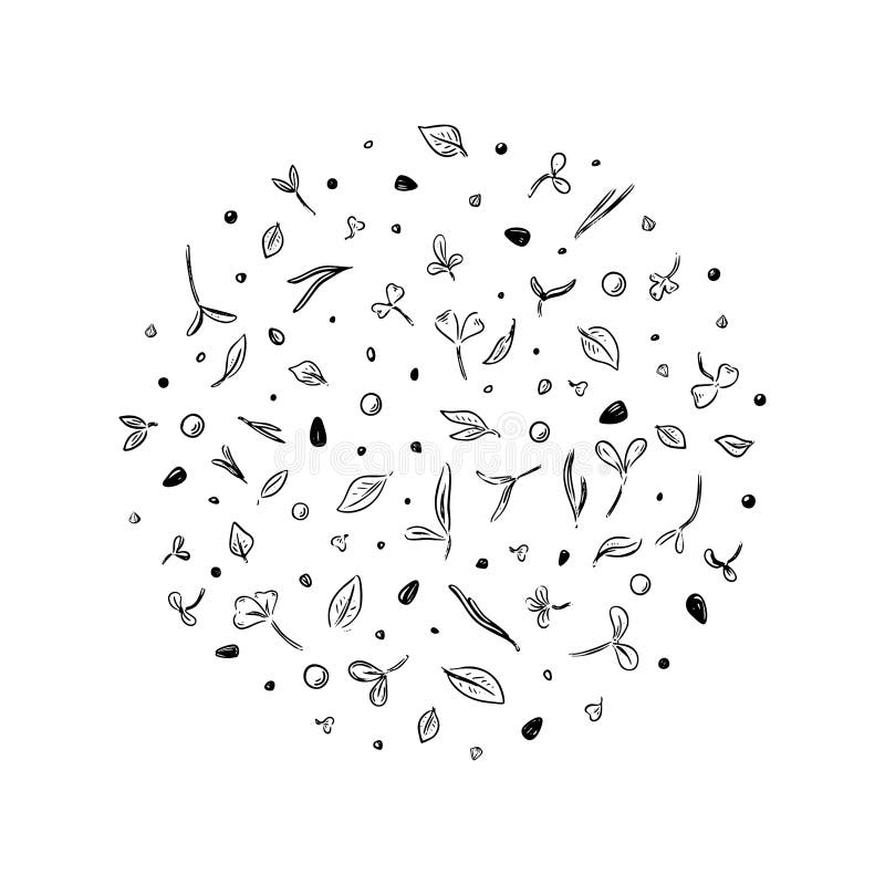 Microgreen Frame Stock Illustrations – 67 Microgreen Frame Stock ...