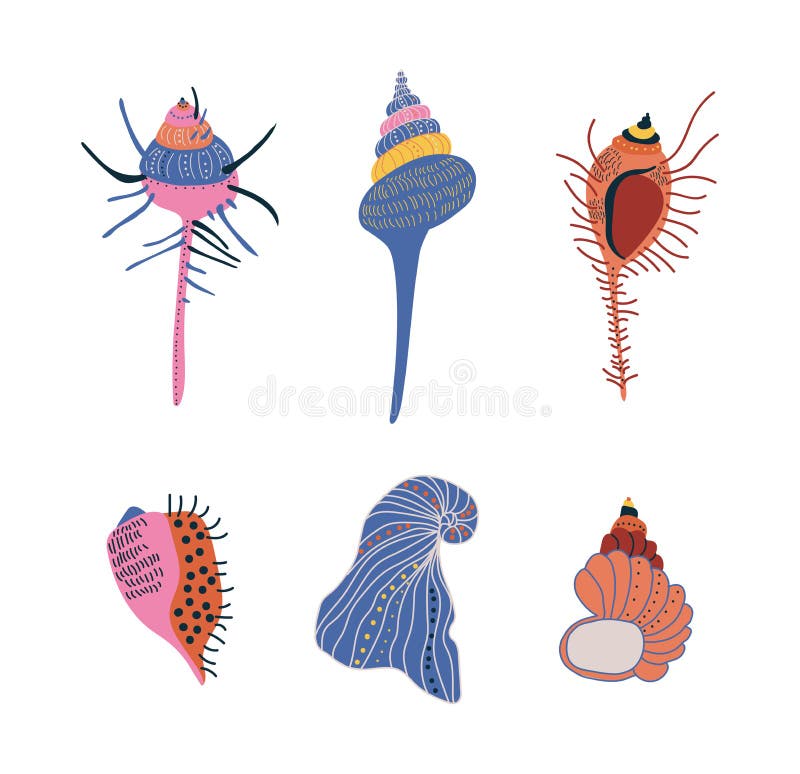 Ornamental Seashell Stock Illustrations – 468 Ornamental Seashell Stock ...