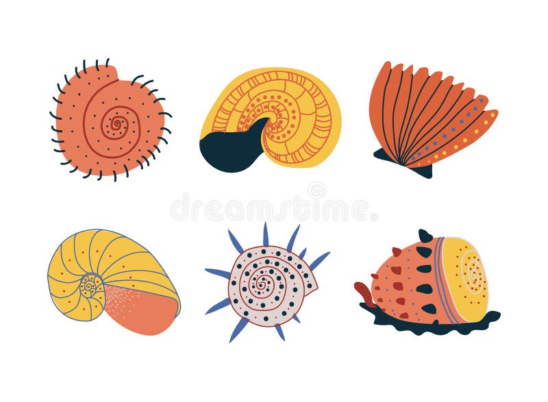 Doodle Ornamental Seashell with Hard Marine Shell Vector Set Stock ...