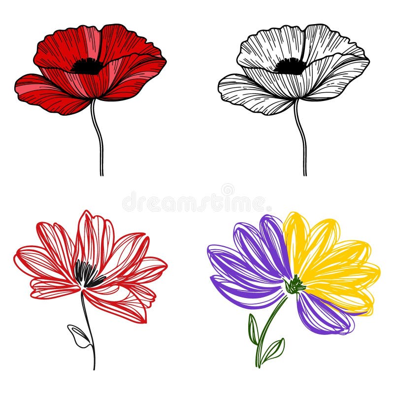 Doodle of Red Poppy Flower, Flower Sketch, Set of Vector Illustrations ...