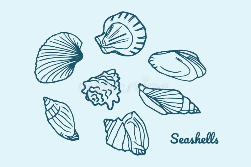 Doodle Seashells Set. Various Sea Shells Types. Hand Drawn Vector ...