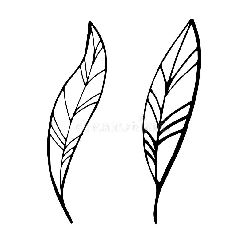 Doodle Set with Flower Elements in One Line Style Stock Image - Image ...