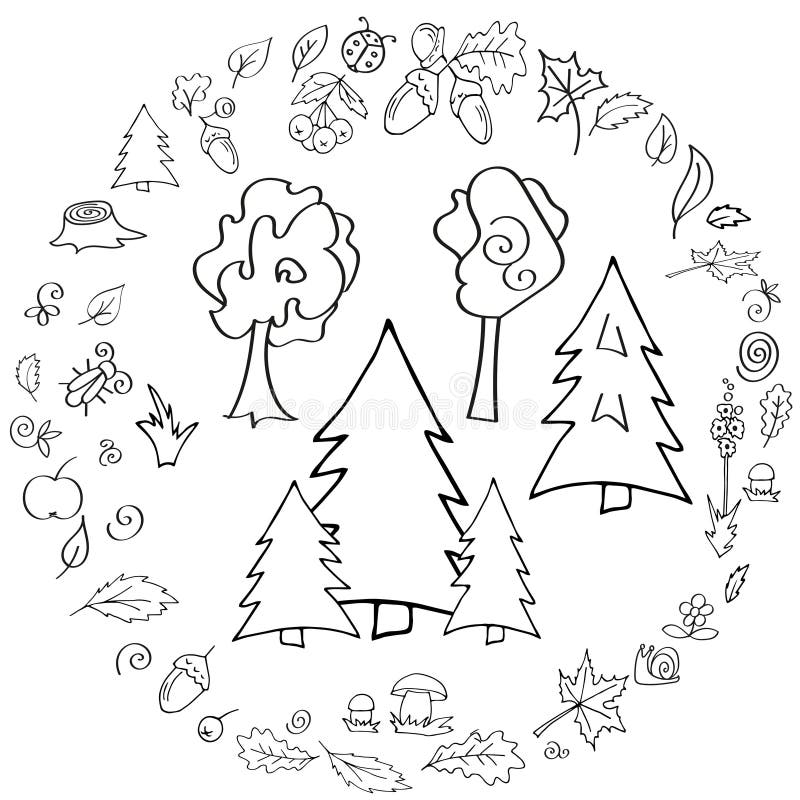 Doodle Set of Forest Plants Stock Vector - Illustration of hand, snail ...