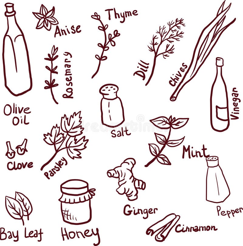 Doodle spice set stock vector. Illustration of drawing - 47007382