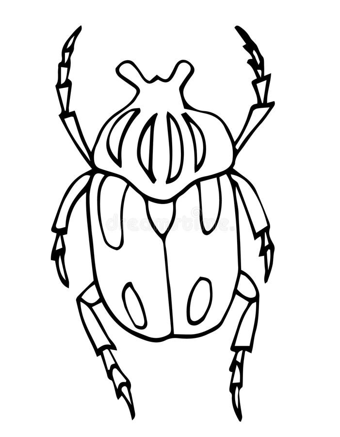 Bug Coloring Page, for Kids, Outline, Vector Picture. Isolated. Stock ...