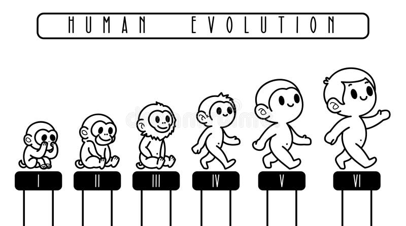 Human Evolution Stages Illustration, Cute Hand Drawn Diagram for ...