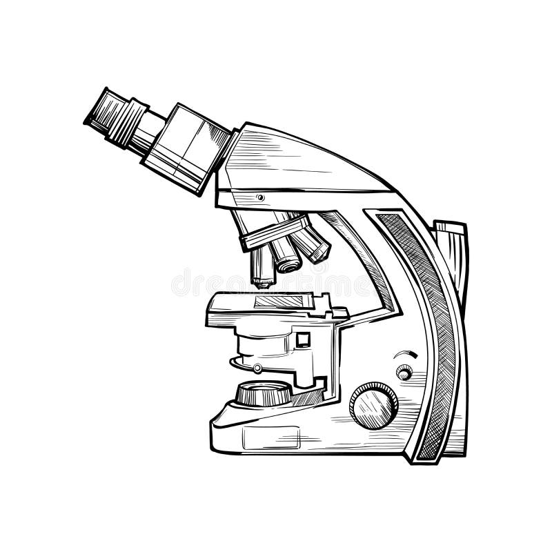 Microscope Doodle Icon, Vector Illustration Stock Illustration ...
