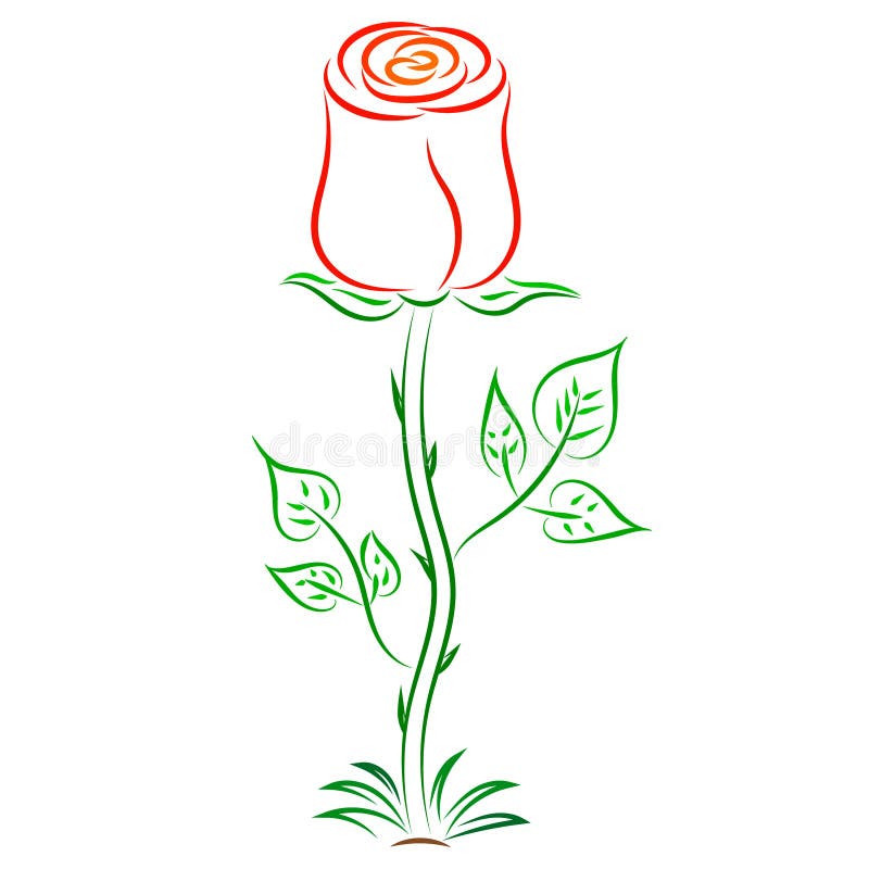 Doodle Vector Abstract Red Rose Stock Vector - Illustration of color ...
