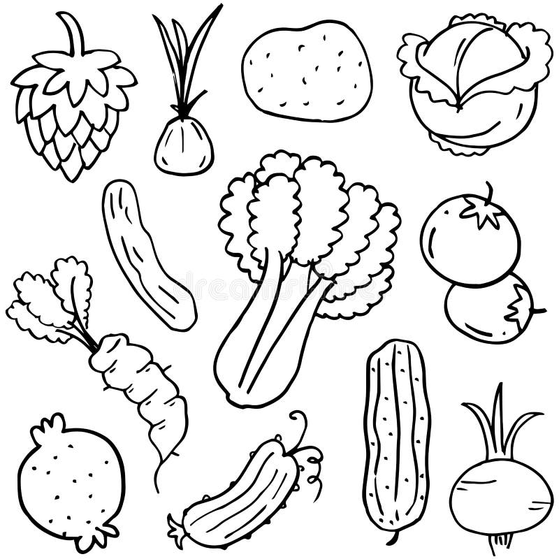 Doodle of Vegetable Set Vector Art Stock Vector - Illustration of ...