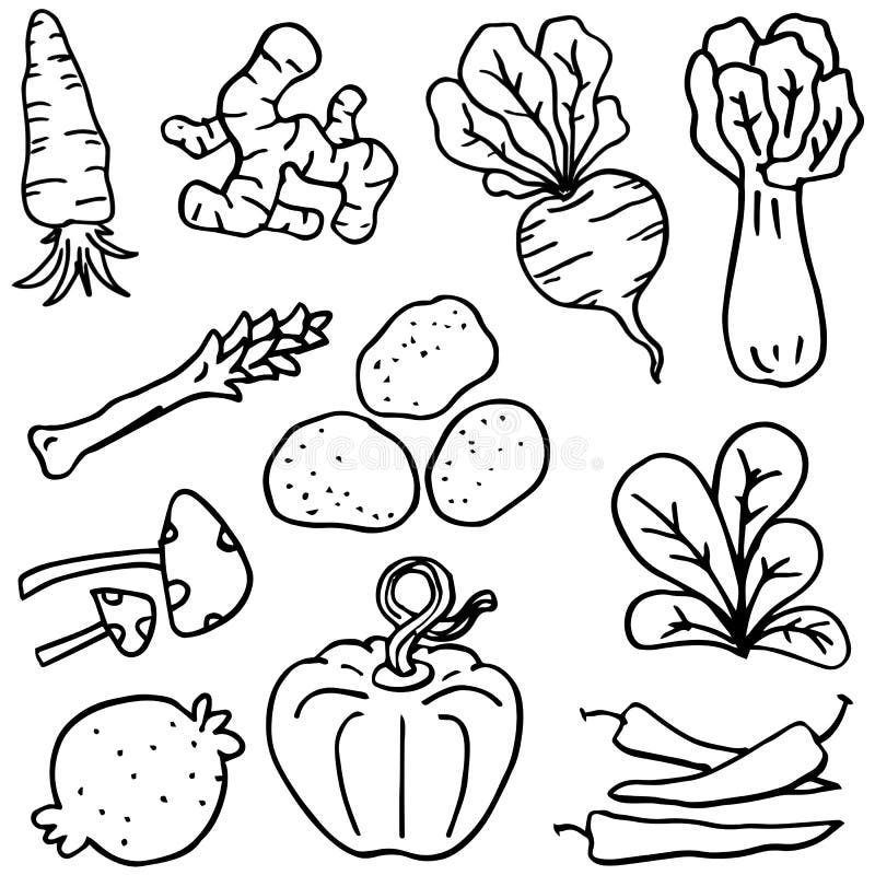 Doodle Vegetable Various Set Vector Illustration Stock Vector ...