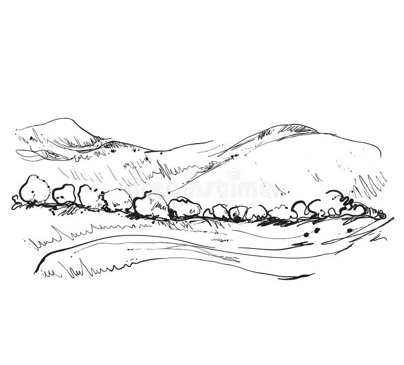 Doodles Landscape with Fields and Trees. Stock Vector - Illustration of ...