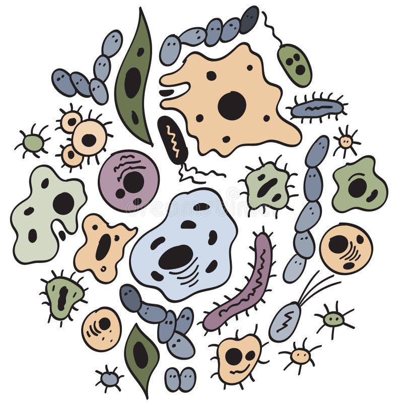 Doodles of Pathogenic Bacteria for Web and Presentations Stock Vector ...