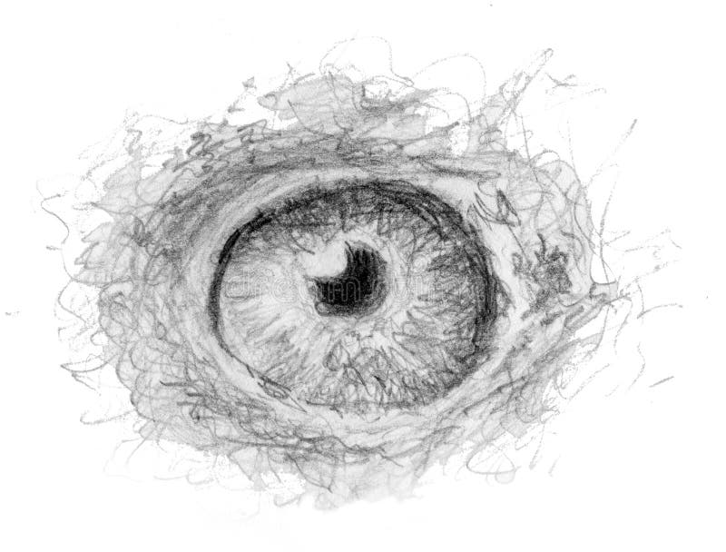 Wild looking eye stock illustration. Illustration of eyelash - 158351854