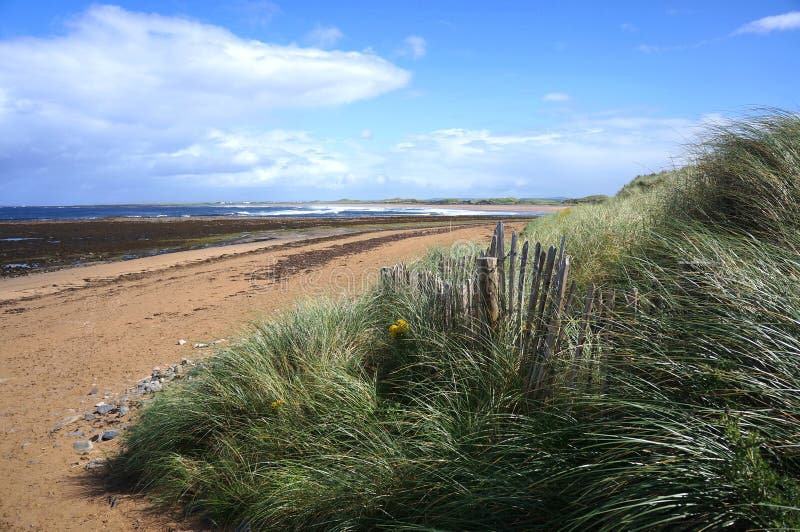 Doonbeg Strand, County Clare, Ireland Stock Photo - Image of golf ...