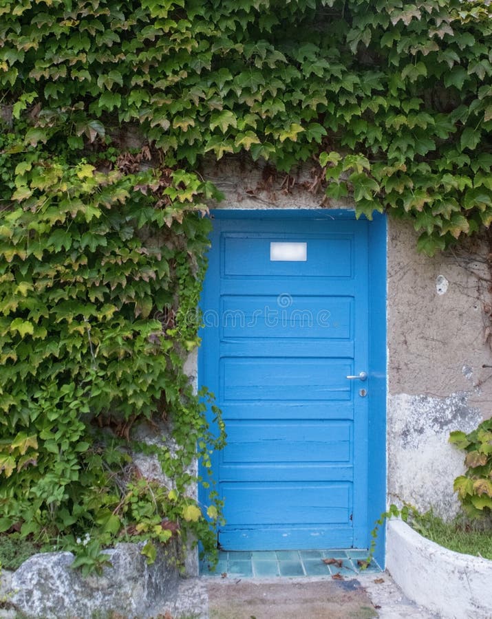 Door on the Background of Green Leaves. Natural Background Stock Image ...