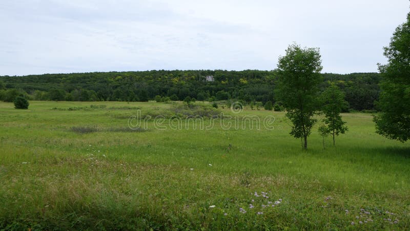 Door County Wayside Park stock image. Image of wisconsin - 194246217