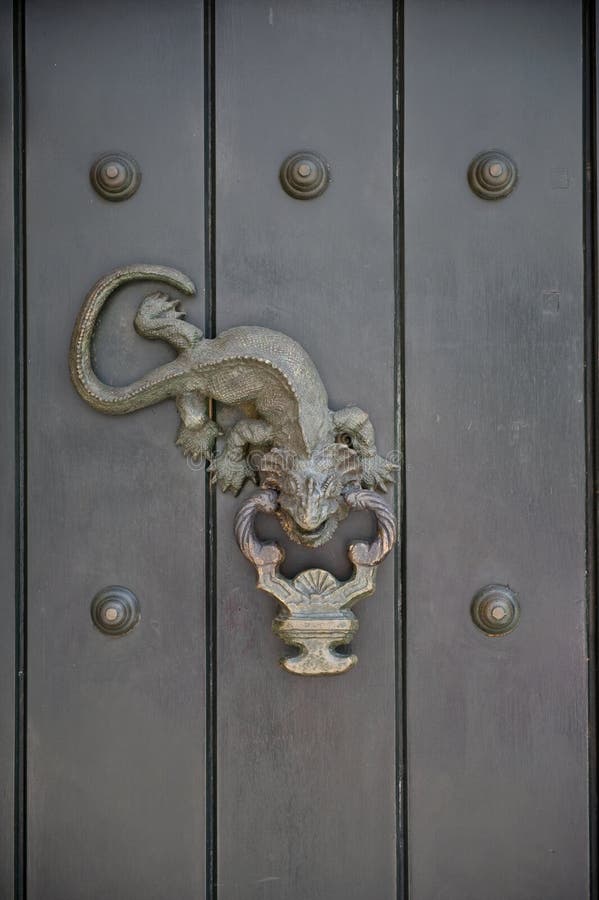 766 Metal Lizard Photos - Free & Royalty-Free Stock Photos from Dreamstime