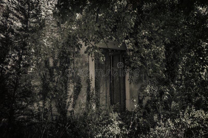 Door in the woods stock image. Image of lock, mystery - 127300485