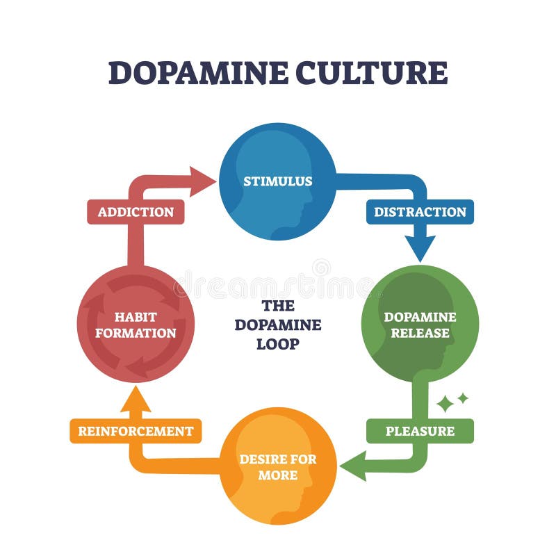 Dopamine Culture is Visualized As a Cycle Showing Stimulus, Dopamine ...