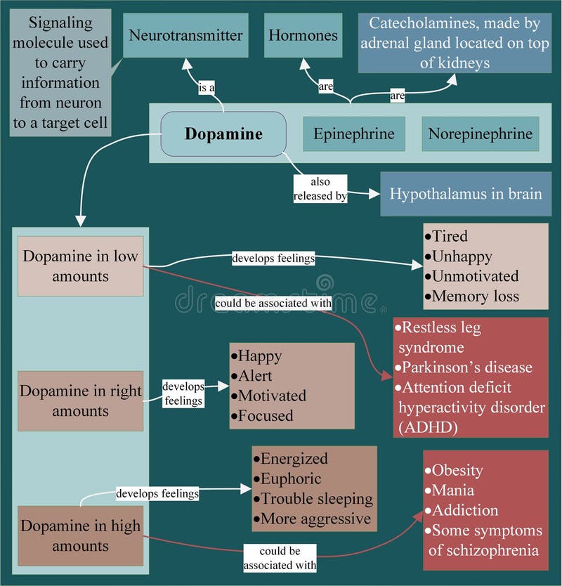 Dopamine is a Neurotransmitter and a Hormone Stock Illustration ...