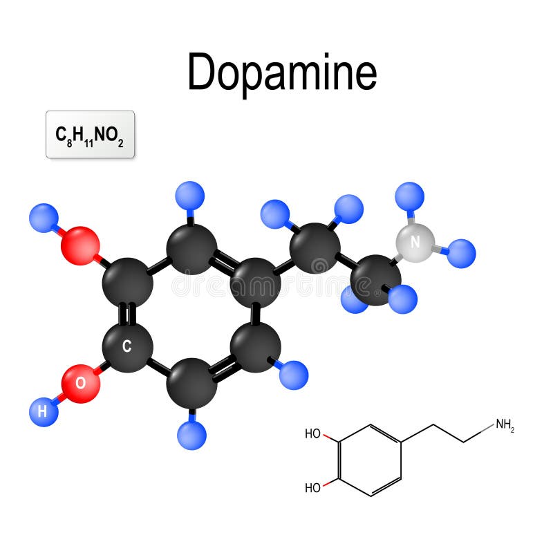 Structurele Chemische Formule Voor Dopamine Vector Illustratie ...