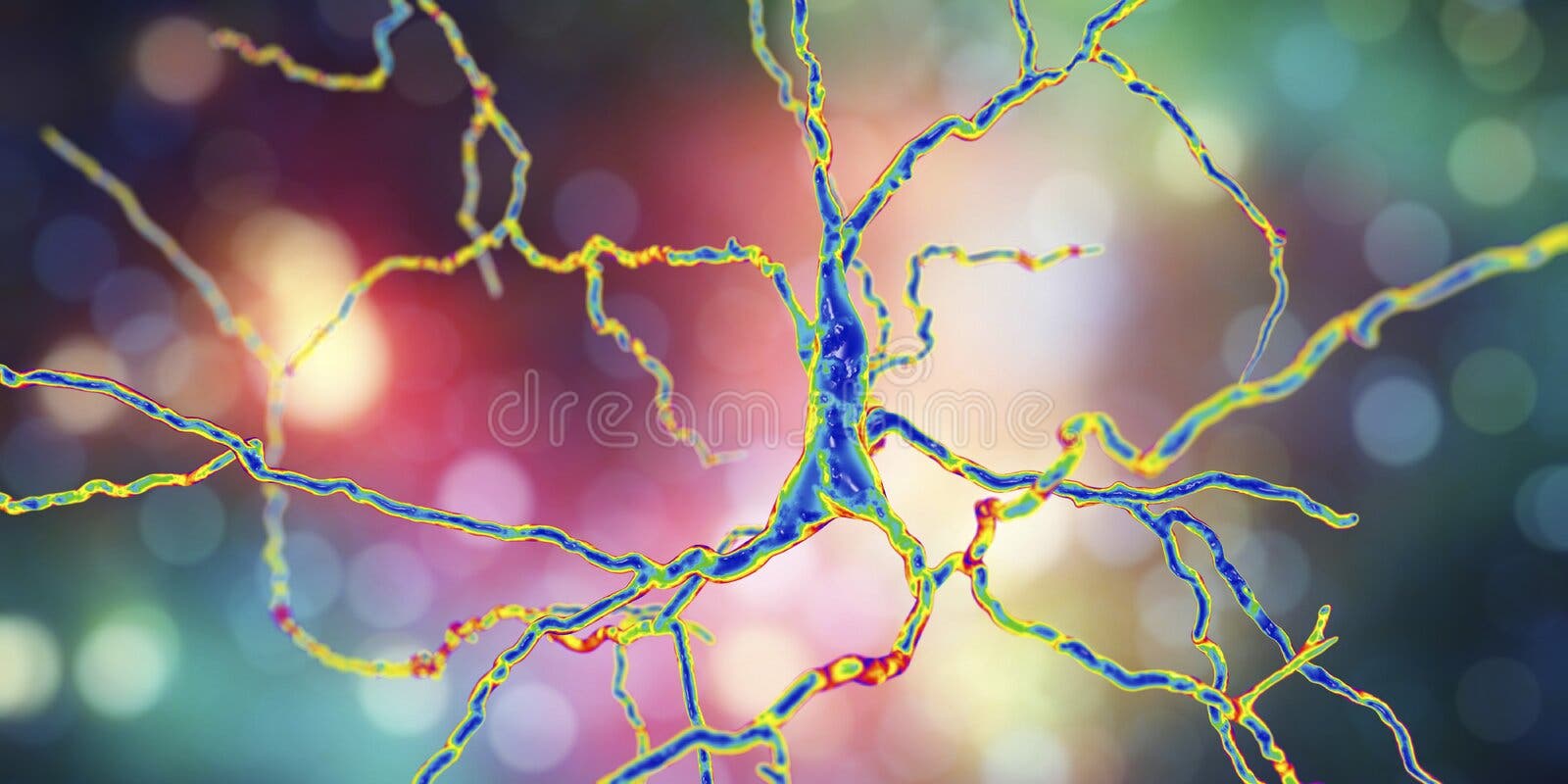 Neuron with Some Dendrites with Circular Blur Around Stock Photo ...