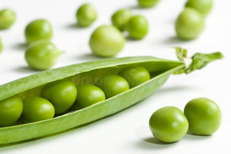 Doperwten stock foto. Image of land, vers, tuin, geplukt - 10225488