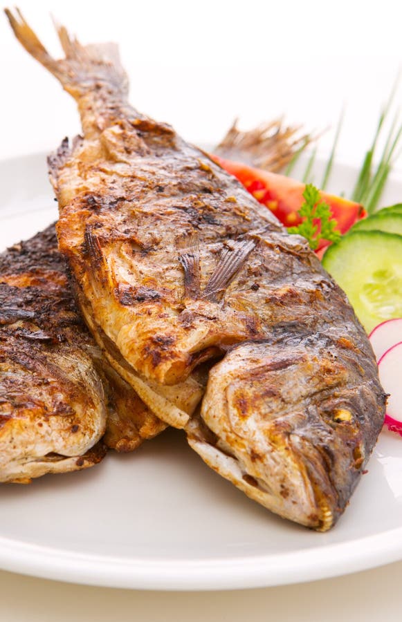 Dorada fish. stock image. Image of mediterranean, fresh - 54722191