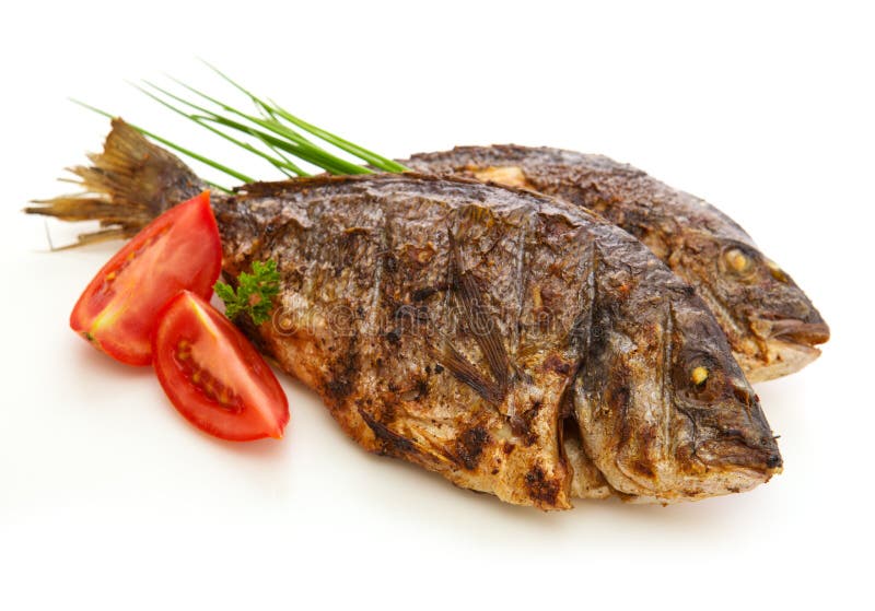 Dorada fish. stock photo. Image of dinner, healthy, dorada - 54725854