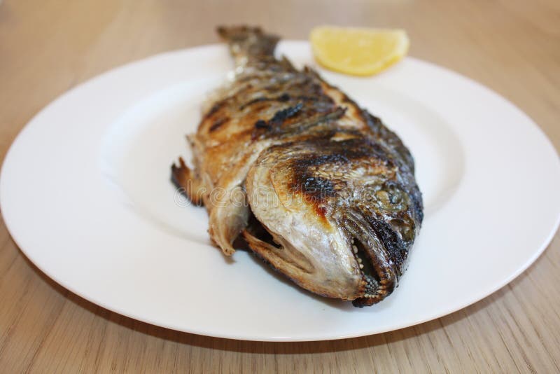 Dorada fish grilled stock image. Image of meal, cooked - 127213613