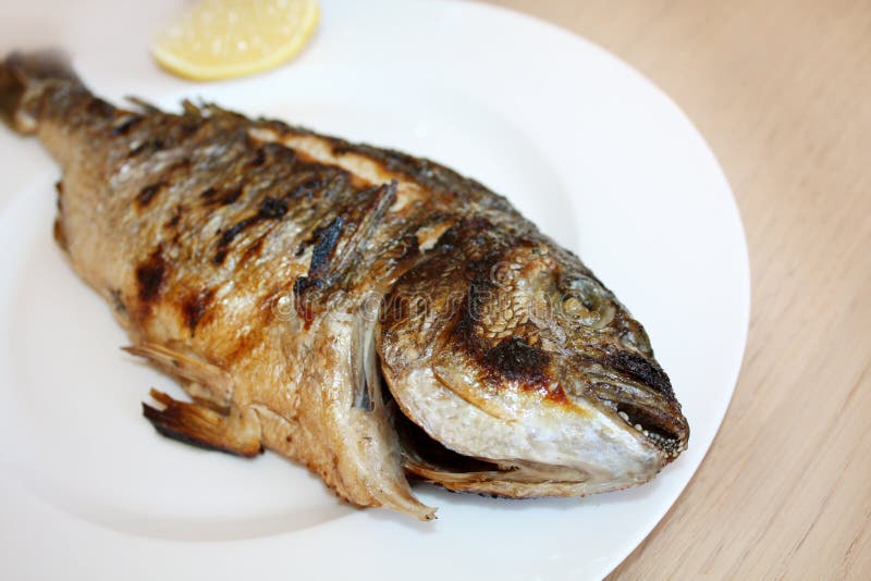 Dorada fish grilled stock photo. Image of cooked, dish - 127588792