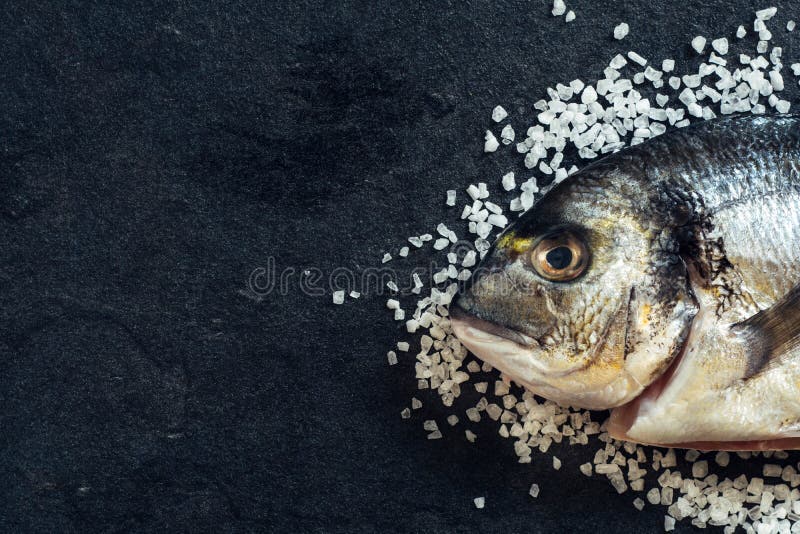 Dorada fish head stock image. Image of blank, aurata - 52446693