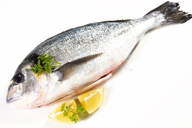 Dorade photo stock. Image du assiette, savoureux, brème - 28998620