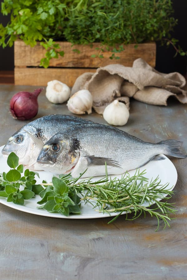 Dorad fisk fotografering för bildbyråer. Bild av skaldjur - 204955445