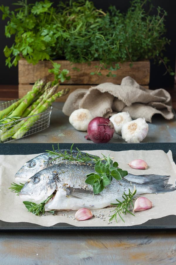 Dorad fisk fotografering för bildbyråer. Bild av skaldjur - 204955445