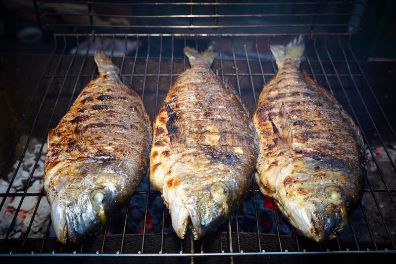 Dorade photo stock. Image du rouge, préparé, comestible - 28998620