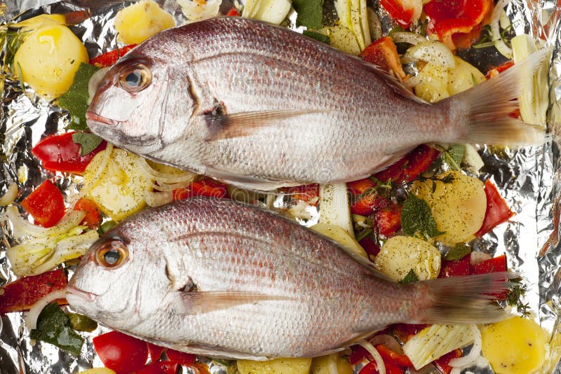 Dorade stock photo. Image of blue, rosemary, spice, nature - 107200576