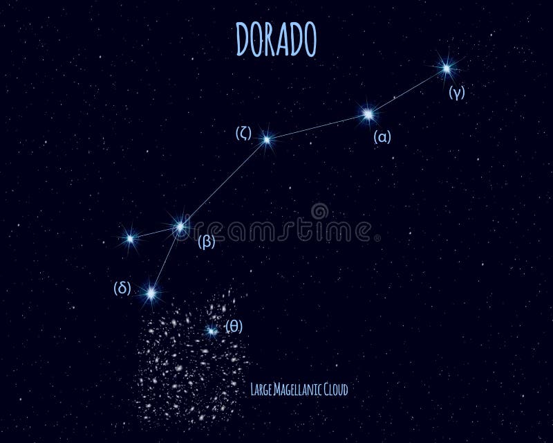 Dorado Constellation, Vector Illustration with the Names of Basic Stars ...