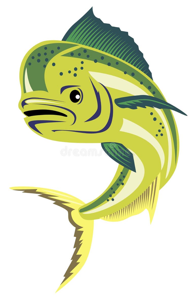 Dorado Fish Stock Illustrations – 16,889 Dorado Fish Stock ...