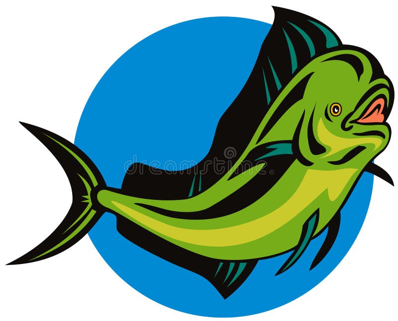 Dorado dolphin fish stock vector. Illustration of underwater - 5049462