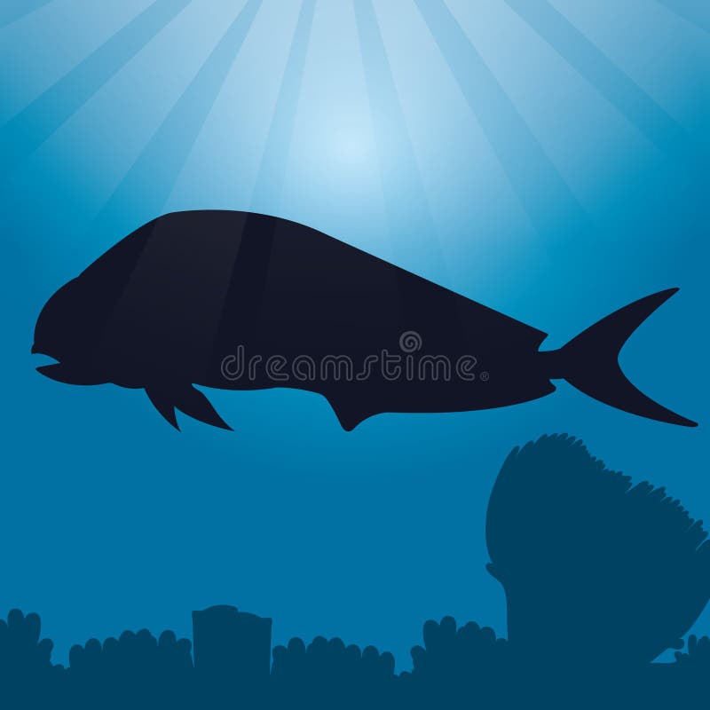 Dorado Fish Silhouette. Vector Illustration Decorative Design Stock ...