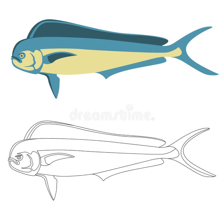 Dorado Fish, Vector Illustration, Flat Style, Side View Stock Vector ...