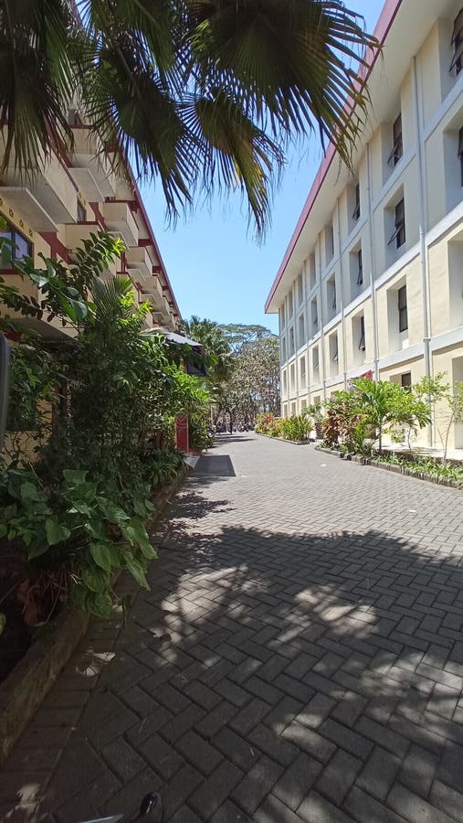 Dormitory building stock photo. Image of smile, building - 317500754