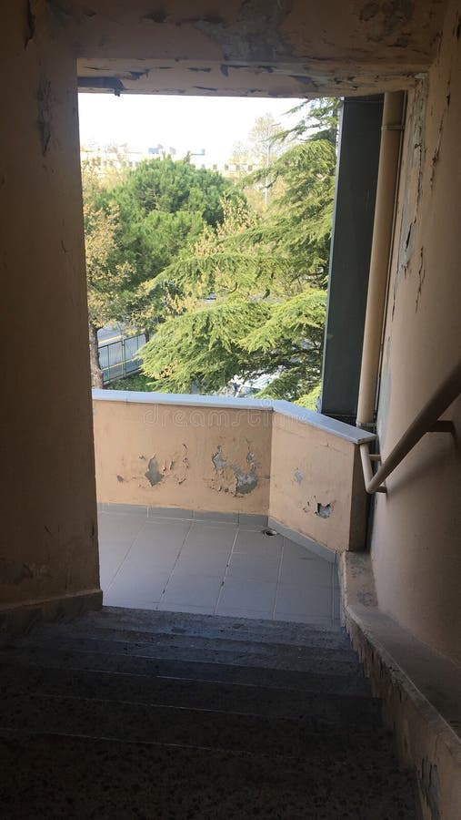 Stairs stock photo. Image of dorm, dormitory, trees - 114845976