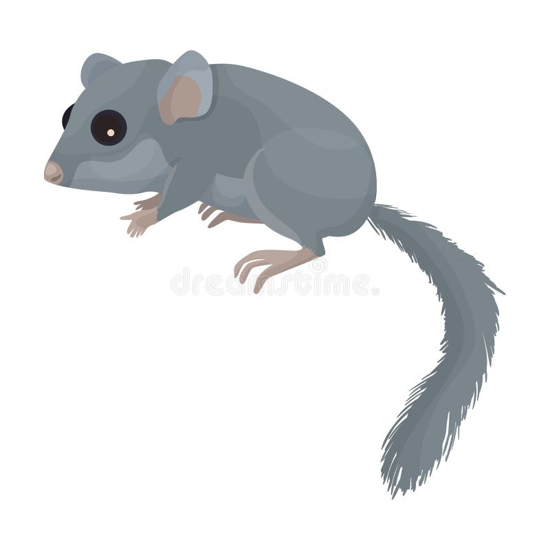 Dormouse Vector Icon.Cartoon Vector Icon Isolated on White Background ...