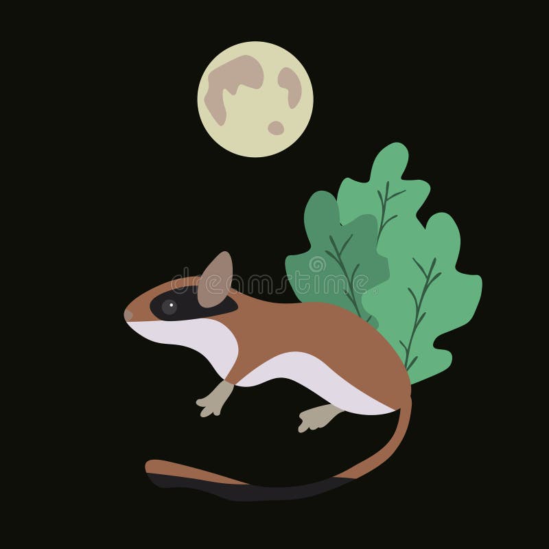 Dormouse Vector Icon.Cartoon Vector Icon Isolated on White Background ...