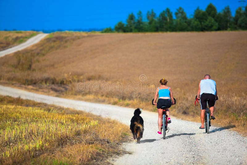 Lato Pies Na Rowerze Zdjęcia Stock - Pobierz 79 Zdjęcia Royalty Free